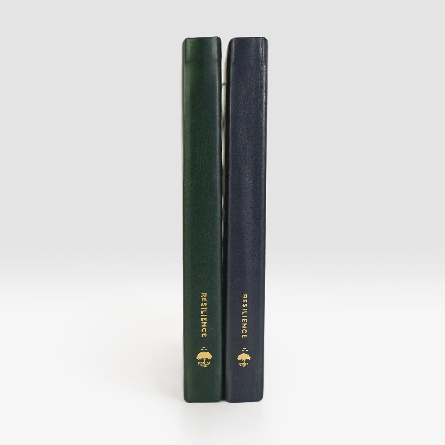 Resilience Journal: A Journey of Faith and Strength – Christian Planner