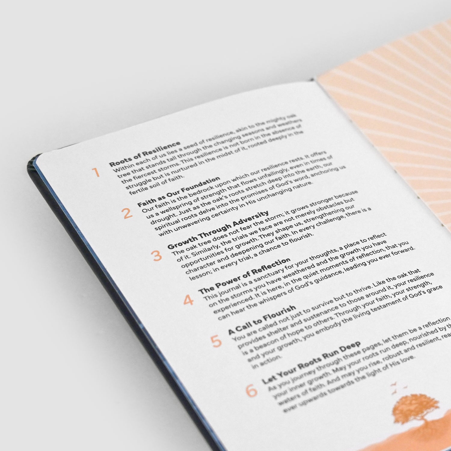 Resilience Journal: A Journey of Faith and Strength – Christian Planner