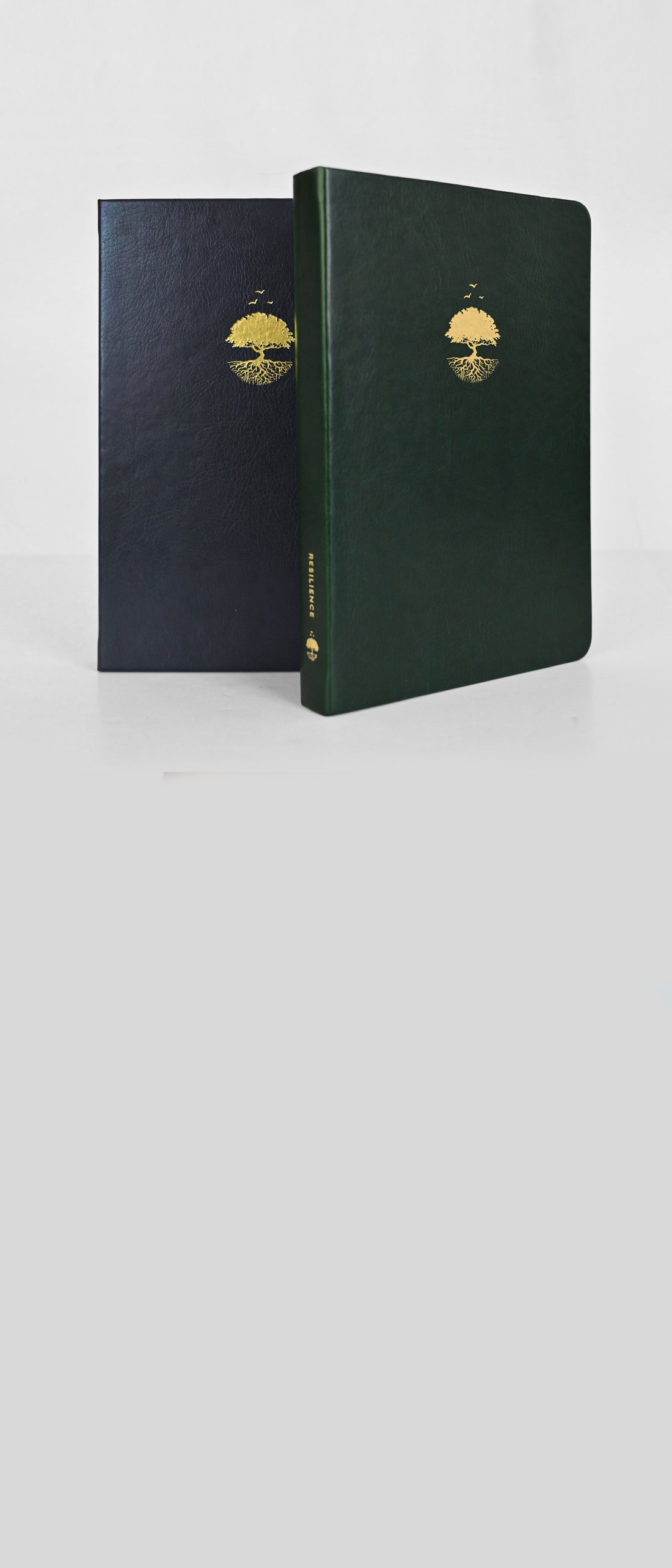 Resilience Journal: A Journey of Faith and Strength – Christian Planner